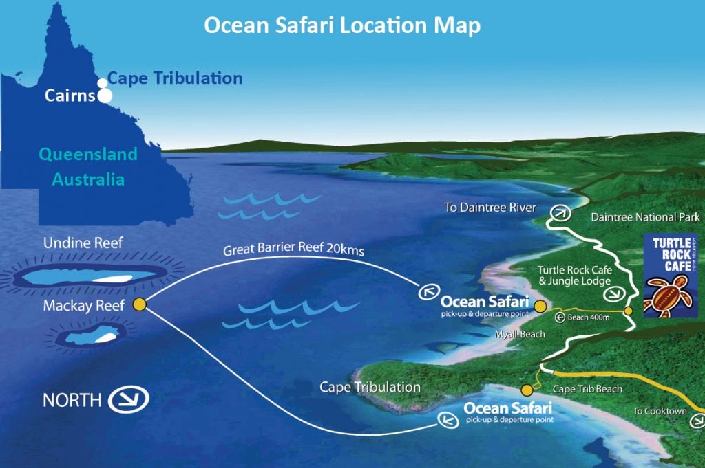 Great Barrier Reef Morning Tour | Ocean Safari Website